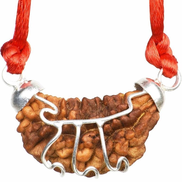 Buy Original Ek Mukhi Rudraksha One Face Online At Low Price In India Buy Original Ek Mukhi Rudraksha One Face Online At Low Price In India