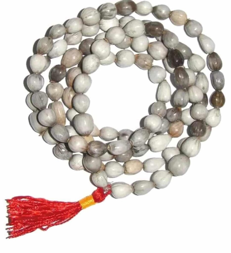 Buy Original Vaijanti Mala Online @ Best Price - Abhimantrit®