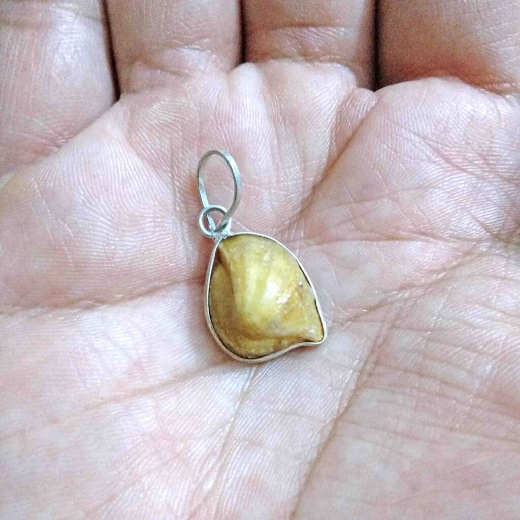 Buy Machmani Stone Online @ Best Price Abhimantrit®