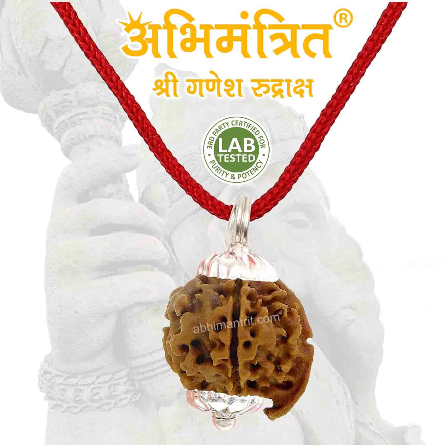 Buy Ganesh Rudraksha Best Price Abhimantrit™