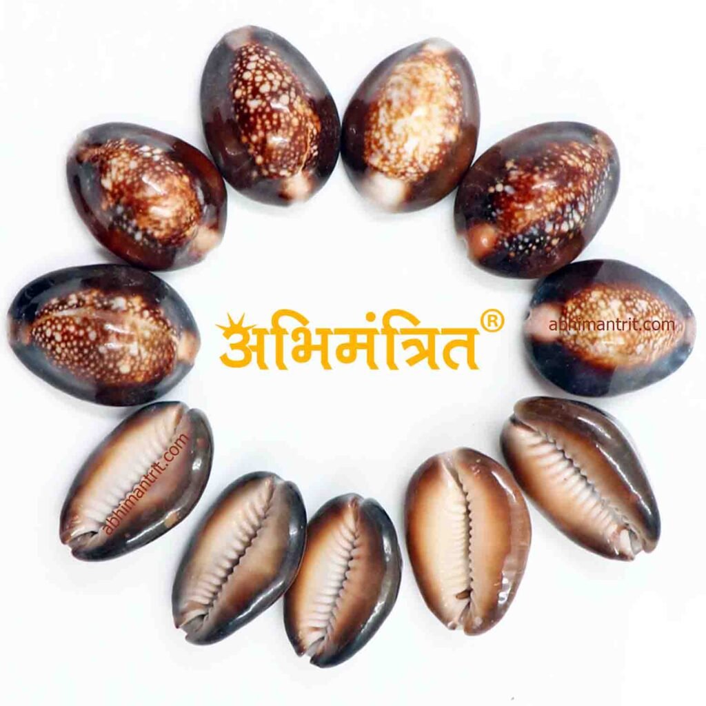 11 Kali Kaudi Black @ Best Price Abhimantrit™