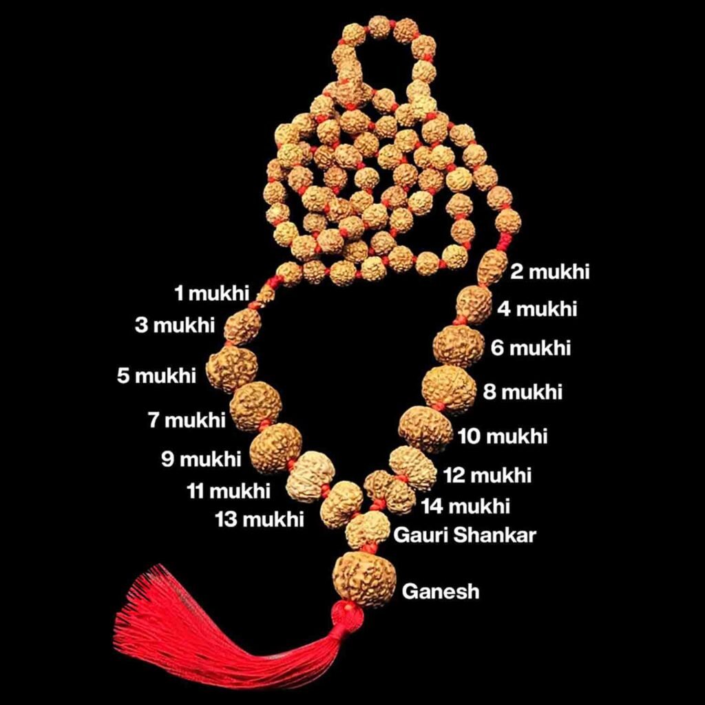 Buy Original Rudraksha Bracelet @ Best Price - Abhimantrit®